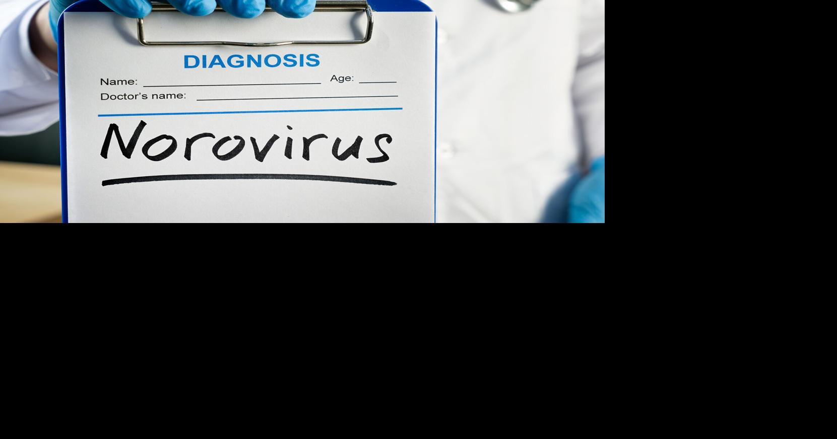 Norovirus is here: Take extra precautions to prevent illness | News ...
