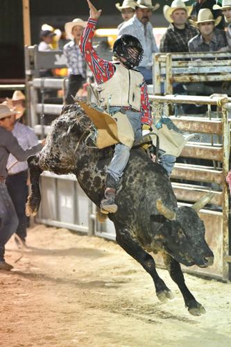 Cowboy up | Promotions | dailytimes.com