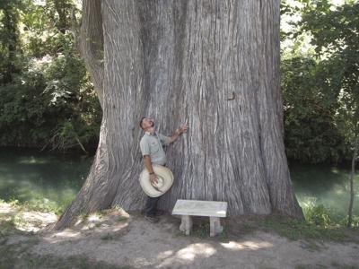 Robert Edmondson to speak at Tuesday meeting of F’burg Native Plant ...