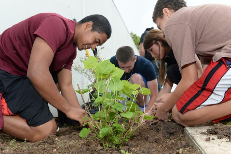 Tivy High School Environmental Club | | dailytimes.com