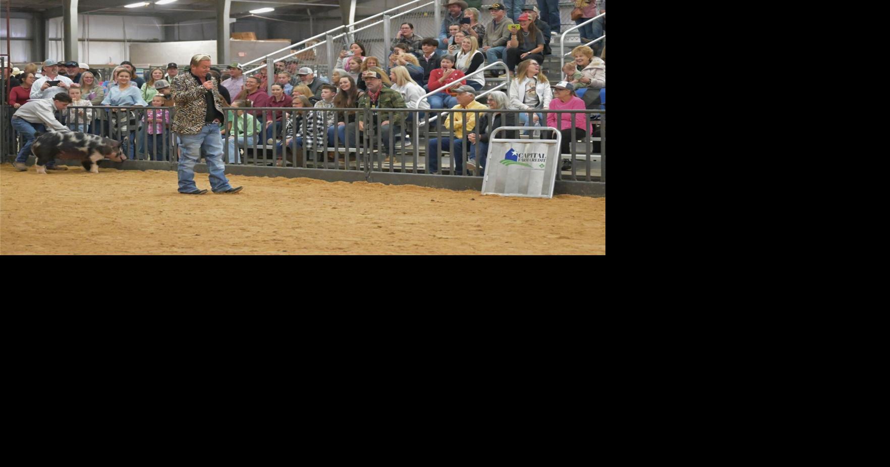 ‘Glitter judge’ comes to 2026 swine competition | News | dailytimes.com