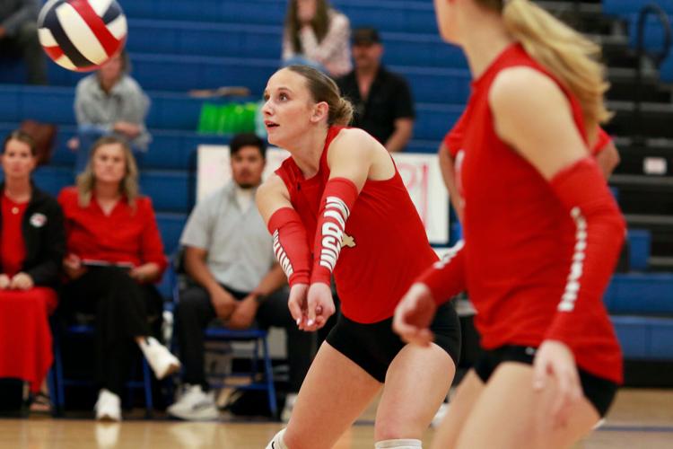 Comfort, Harper battle hard in playoffs as local volleyball seasons ...