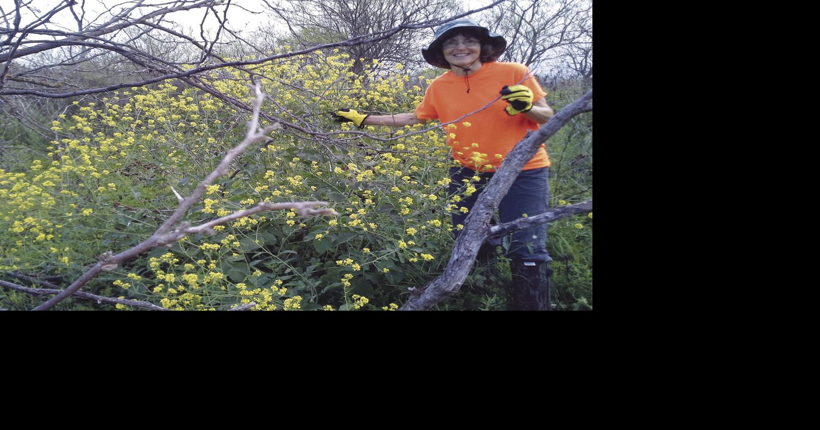 Speaker to offer tips on how to recognize invasive plants and how to ...