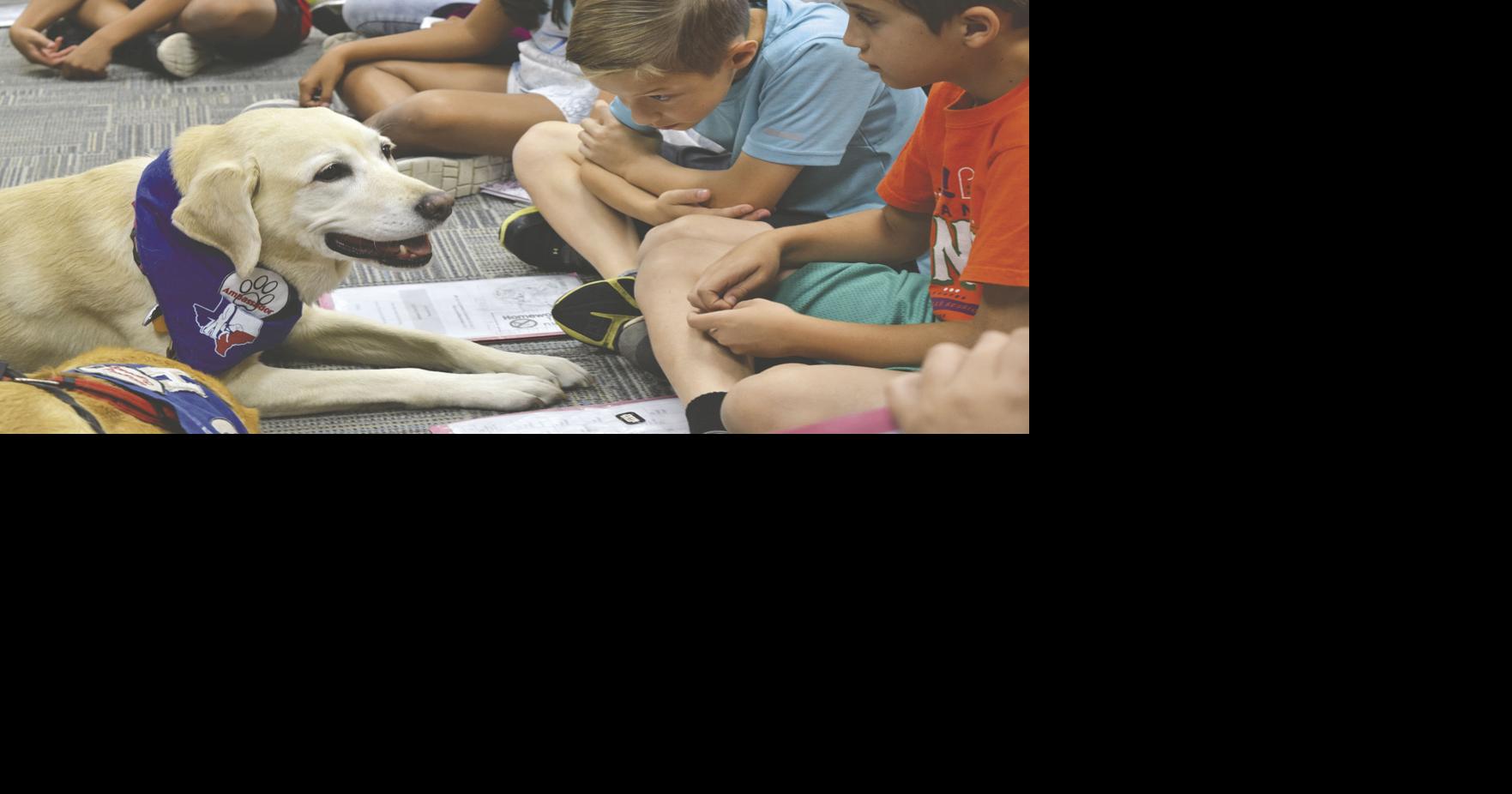 Starkey third grader educates classmates about guide dogs | News ...