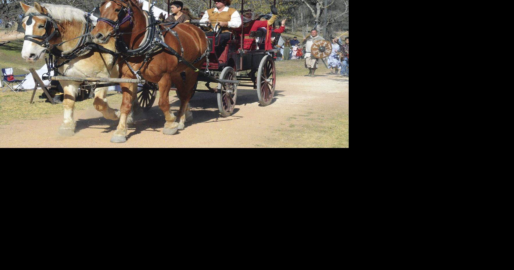 Medieval merriment | Entertainment | dailytimes.com