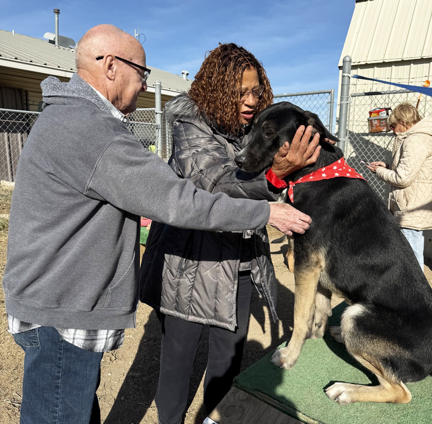 Share love with homeless pets | Lifestyles | dailytimes.com