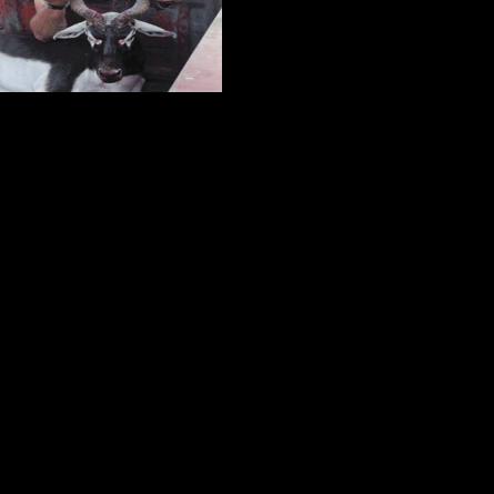 Aaron Earnest Beesley | Obituaries | dailytimes.com