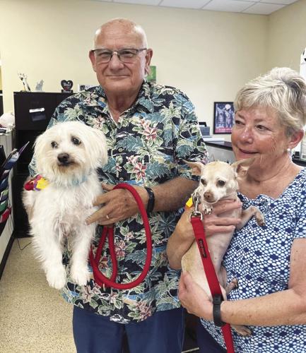 Freeman-Fritts Animal Shelter helps senior pets celebrate the holidays ...