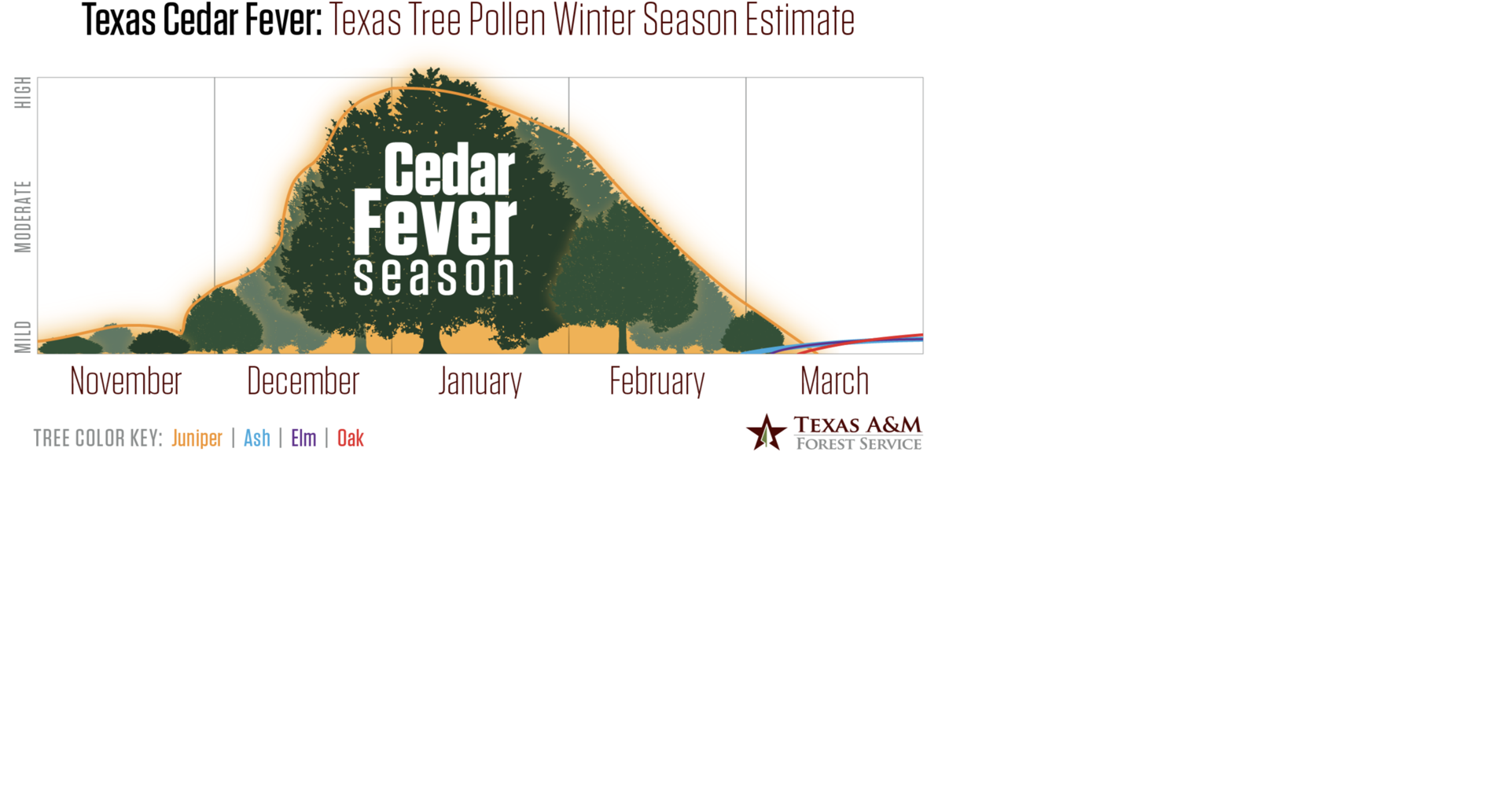 It’s cedar fever season in the Hill Country | News | dailytimes.com