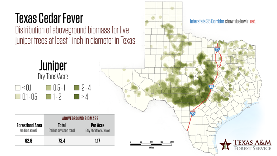 It’s cedar fever season in the Hill Country | News | dailytimes.com