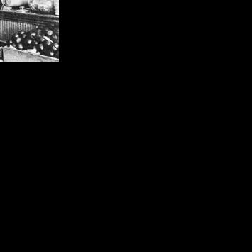 Honoring Trailblazing Women During Women S History Month Columnists