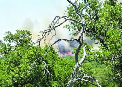 Gillespie County blaze burns at 79 acres | News | dailytimes.com