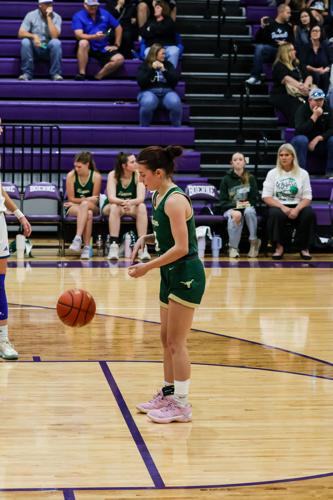 Harper Ladyhorns capture area championship with win over Yorktown ...
