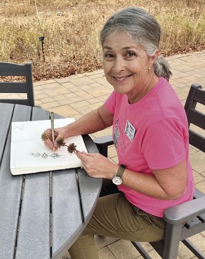 Nature journaling class set for Oct. 28 in F’burg | Events | dailytimes.com