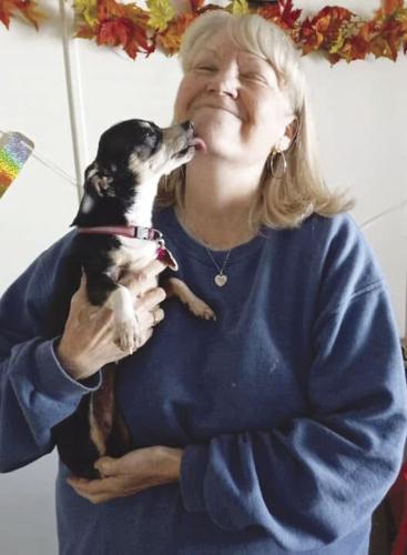 Freeman-Fritts Animal Shelter helps senior pets celebrate the holidays ...