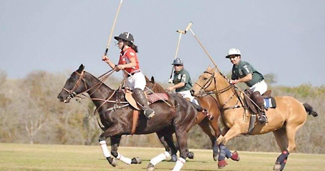 Seats still available for SU polo fundraiser | Sports | dailytimes.com