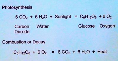 glucose equation balanced