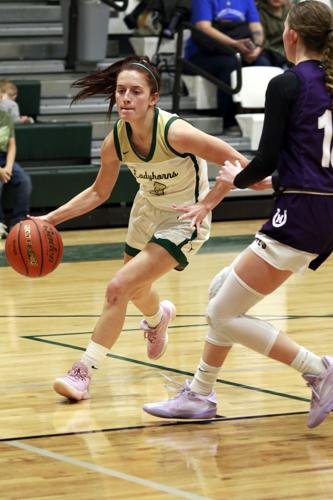 Harper basketball takes commanding home victories over Johnson City ...