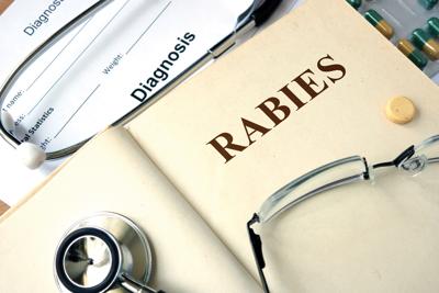 KCAC reports 6th rabies case in Kerr County for 2026 | News ...