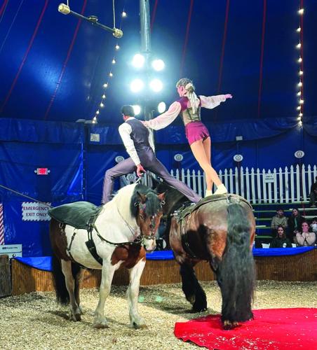 Welcome to the circus!: Locals treated to Italian circus tradition ...