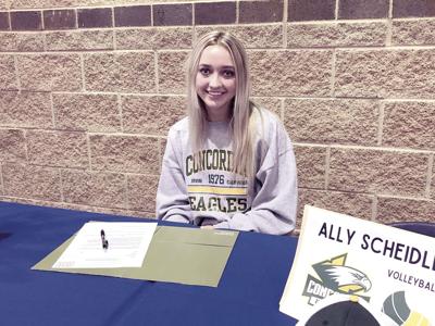Ally Scheidle takes her volleyball skills to the next level | Sports ...