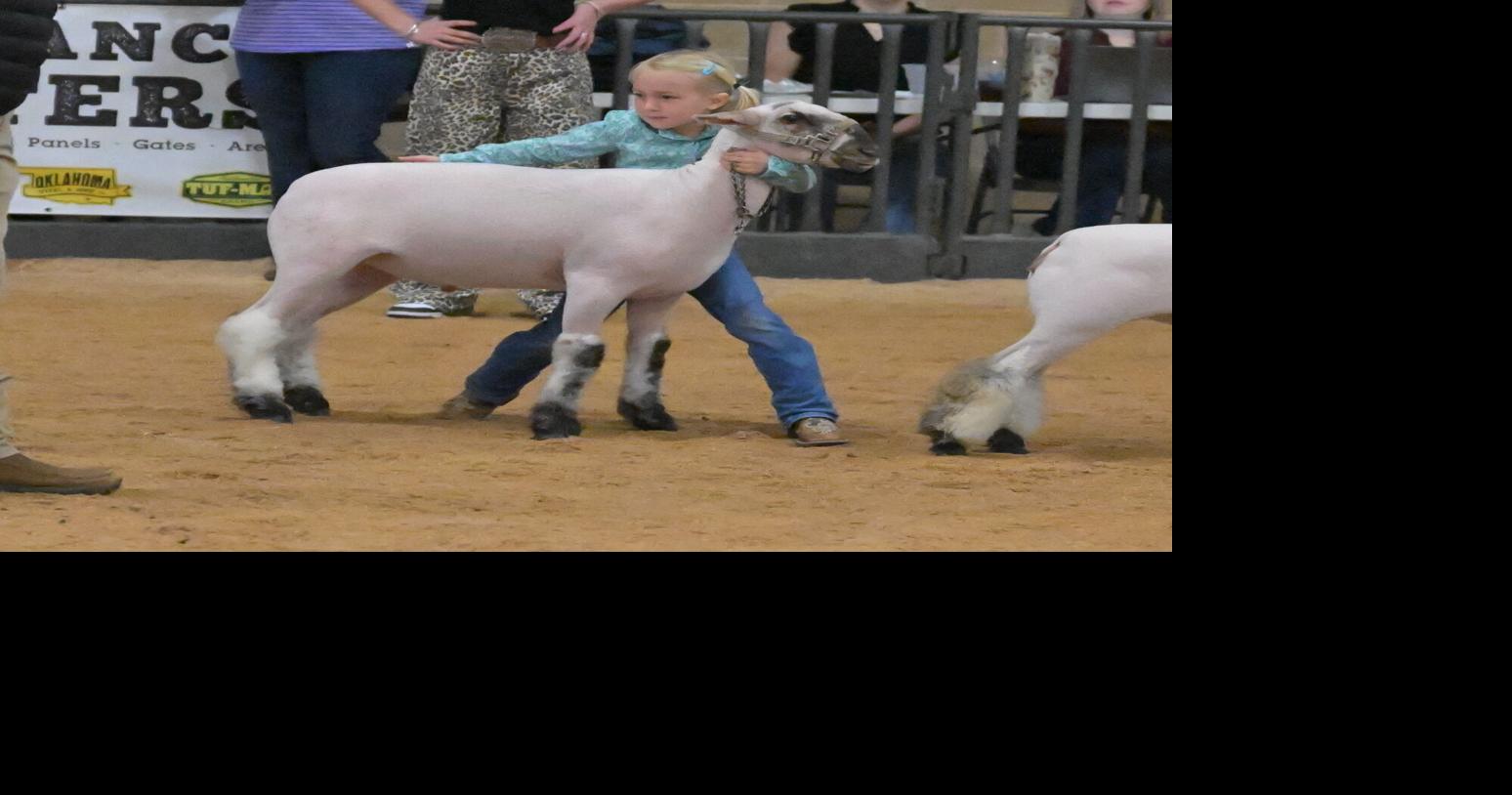 Stock show tops all-time sales | 2025flood | dailytimes.com