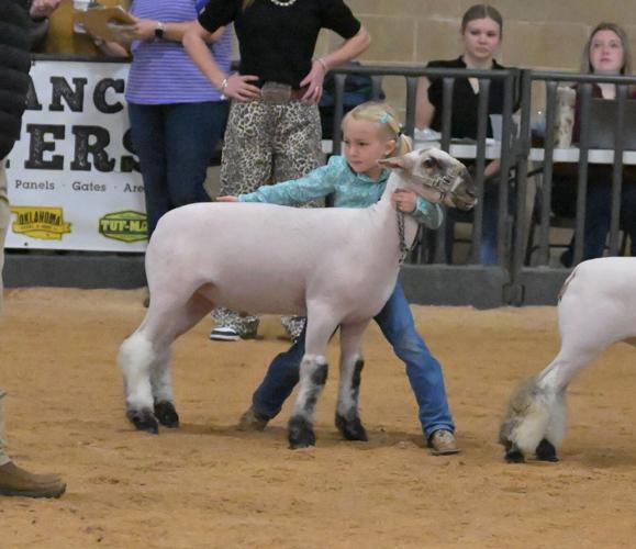 Stock show tops all-time sales | 2025flood | dailytimes.com