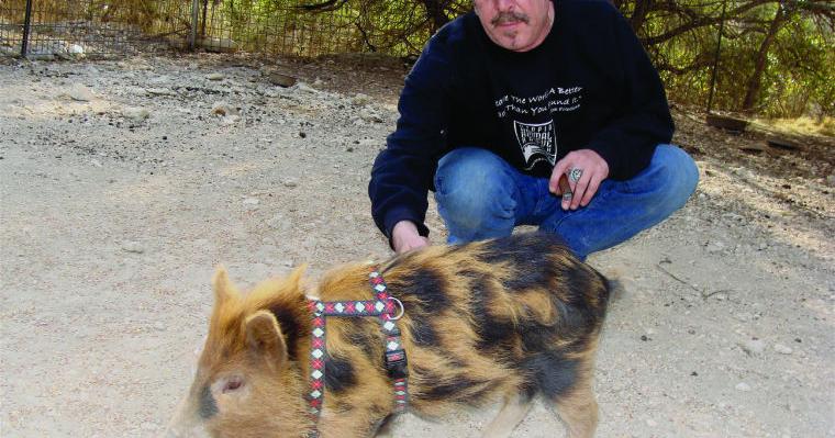 Utopia Animal Rescue Ranch provides love and second chances to ...