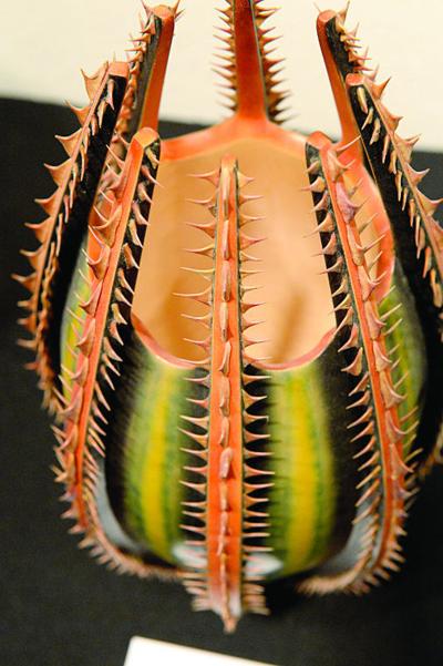 Exhibit showcases woodturnings of James R. Johnson | Home And Garden ...