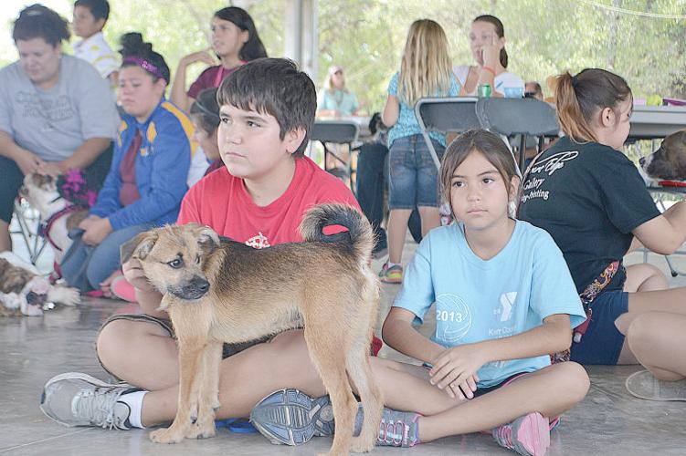 Bark for life | News | dailytimes.com