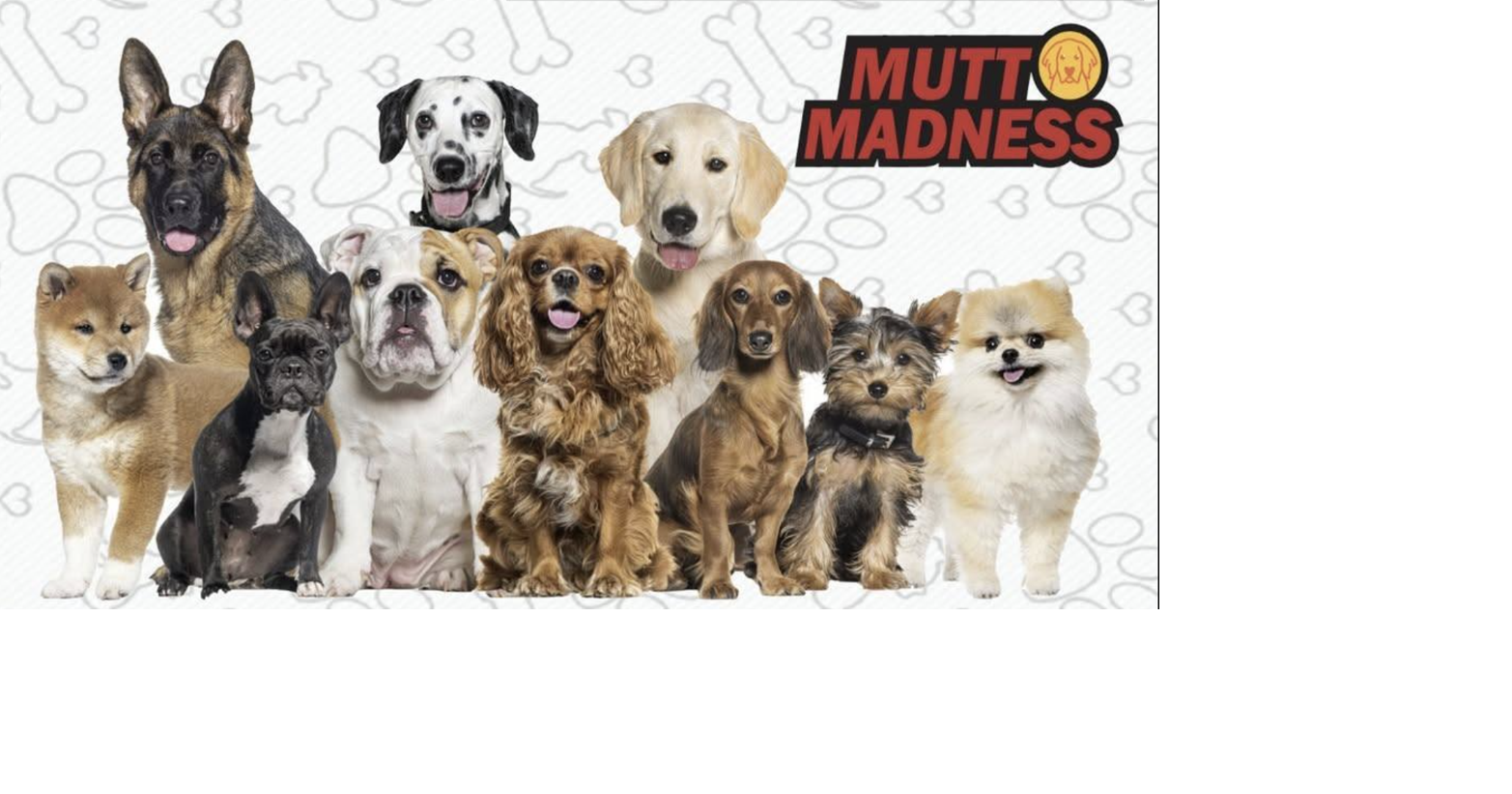 Round 3 of our 2025 Mutt Madness contest is underway! | News ...