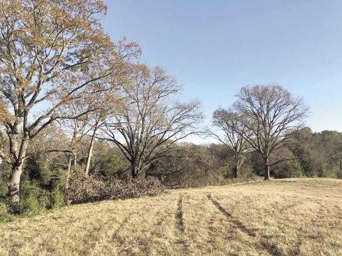 The Fouke Monster | Columnists | dailytimes.com