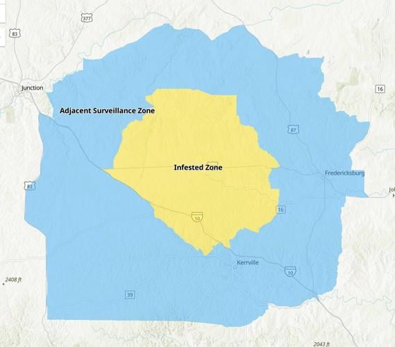 Gillespie case prompts partial Kerr quarantine to stop NWS contagion ...