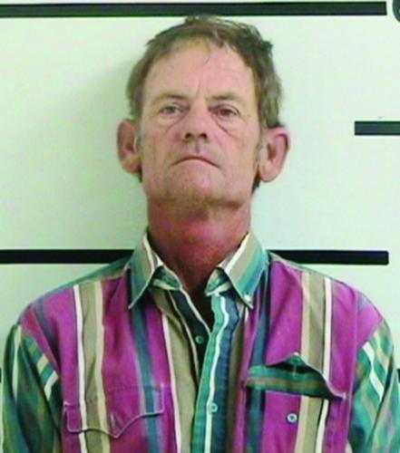 Local man pleads guilty to indecency with a child charge | News ...
