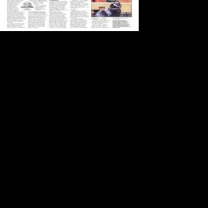 Page C01 | e-Editions | dailytimes.com