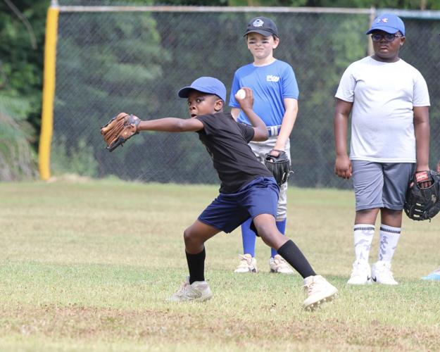 GW baseball rebuilds "brick by brick" | Community | danriversports.com