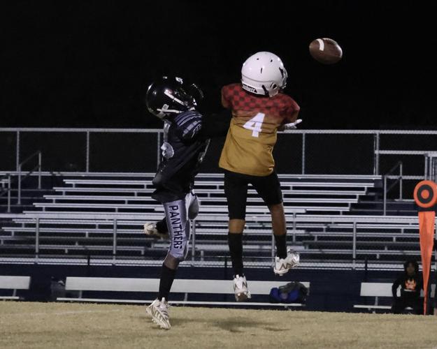 Rare Breed, Panthers punch tickets to the title game | Community ...