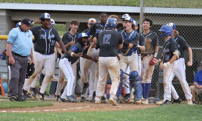 Dan River alum Howerton thriving in first year at Ferrum | College ...