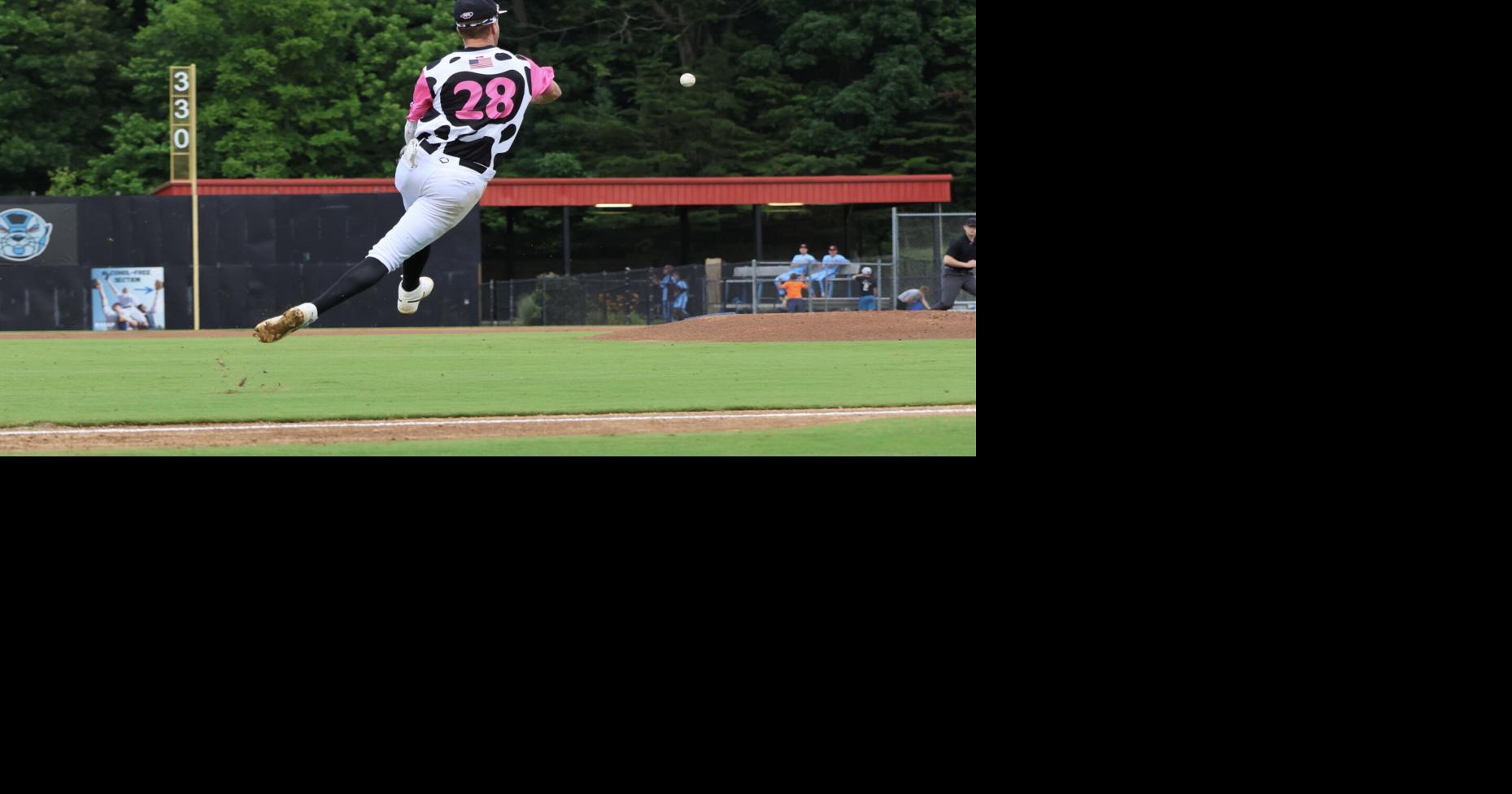 Danville pitchers strike out 19 in win over Porcupines | Dairy Daddies ...