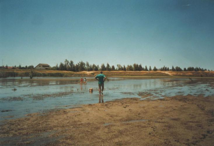At the Pond: Evolution of a local resource | Zoology | davisenterprise.com