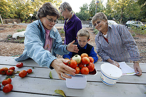 Grace Garden photos | Do-not-import | davisenterprise.com