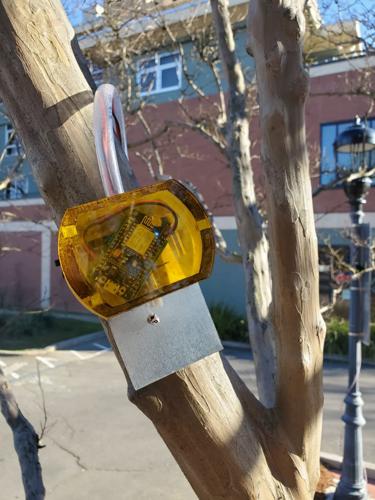 Listen to the sound installation on G Street | Arts & Entertainment ...