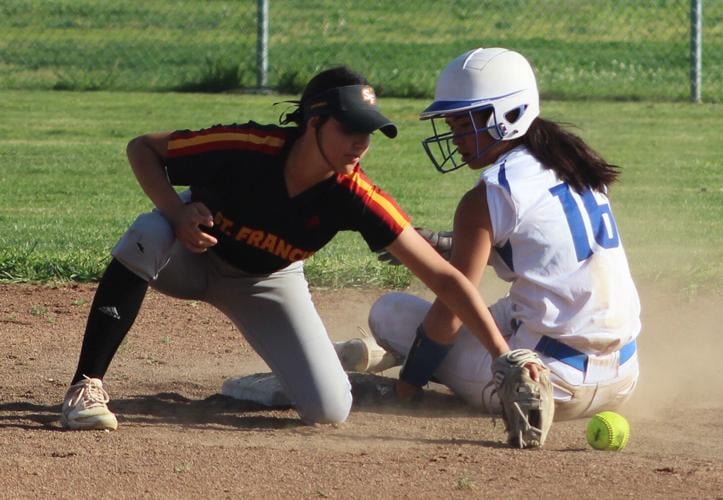 Softball: Davis defense solid in loss | Blue Devils | davisenterprise.com