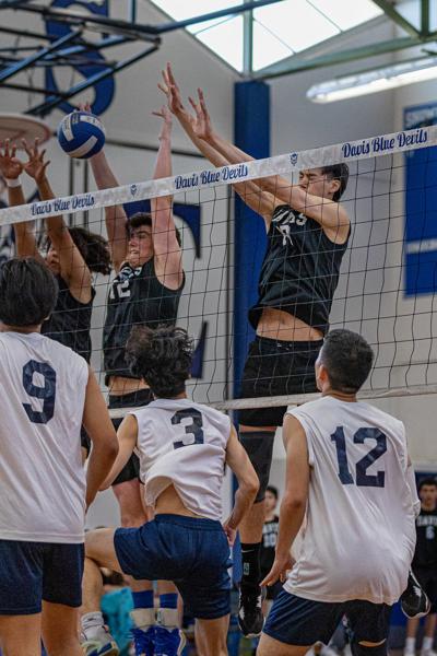 Volleyball: DHS boys slip past Eagles, host playoff match | Blue Devils ...