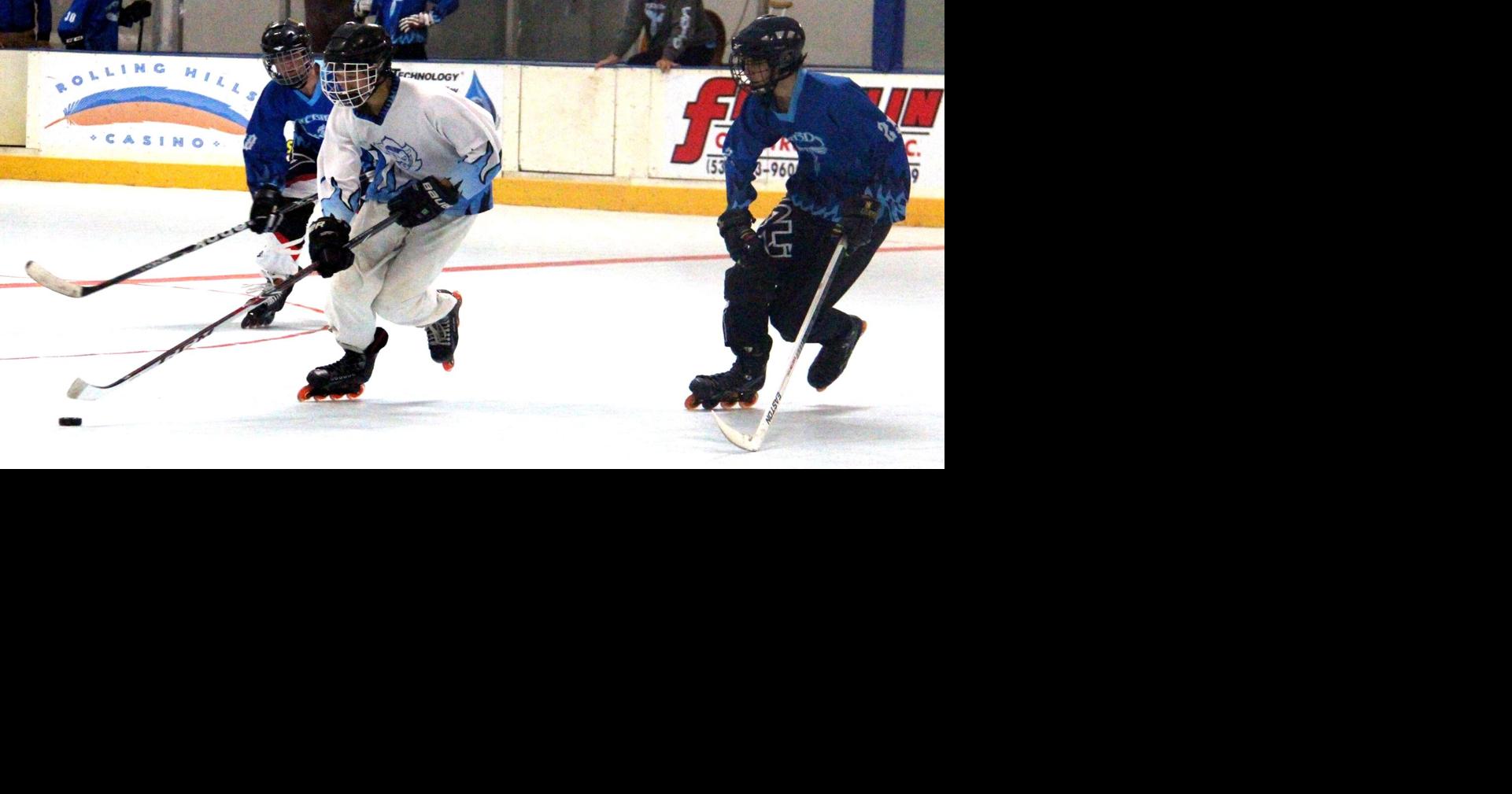 Youth roundup: Davis hockey club teams charge to wins in Chico | Sports ...