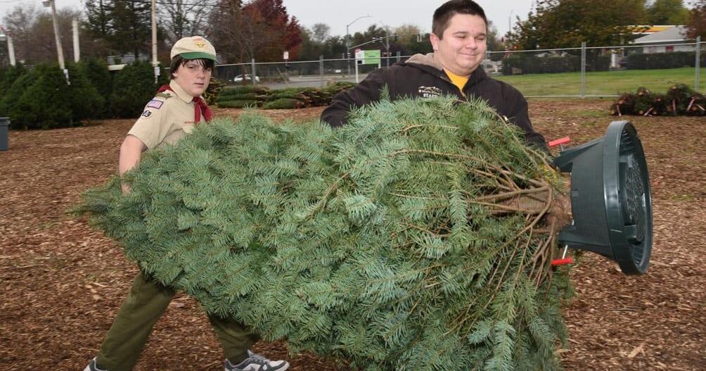 Evergreen operation back in business | News | davisenterprise.com