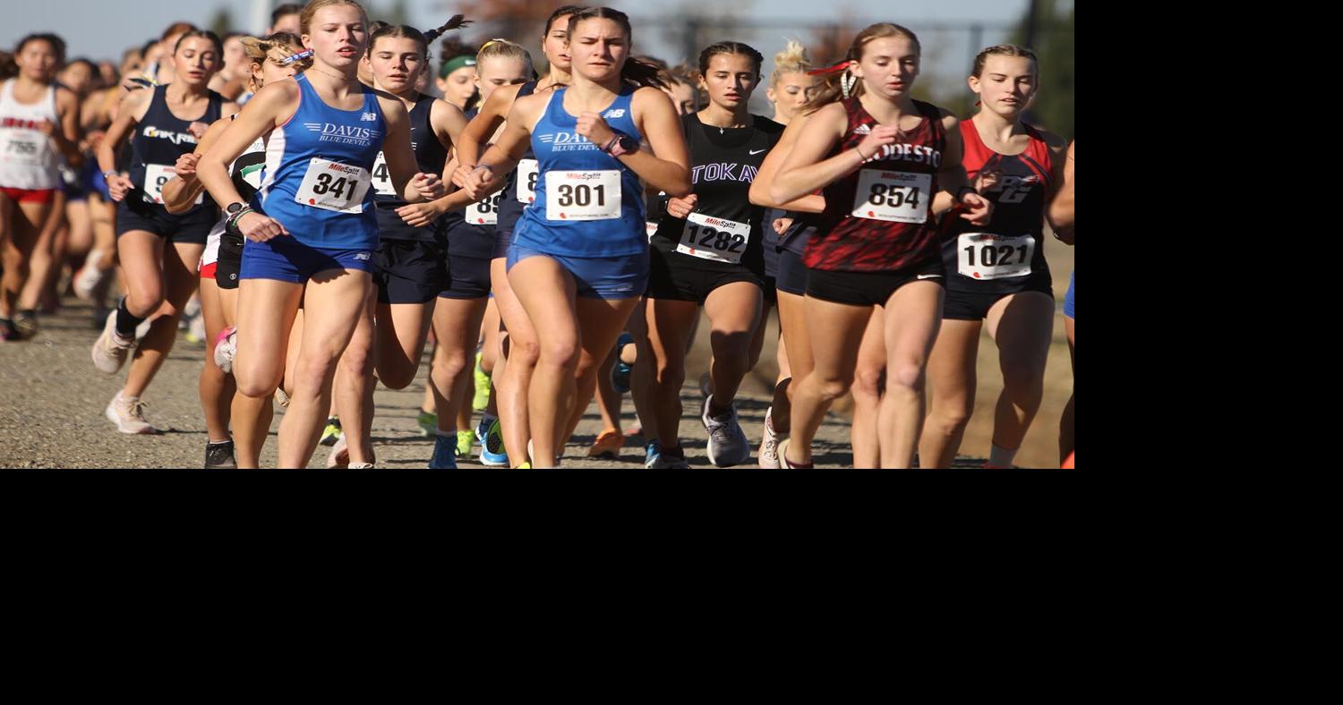 Thronson, Wolk lead Davis High runners to state meet | Sports ...