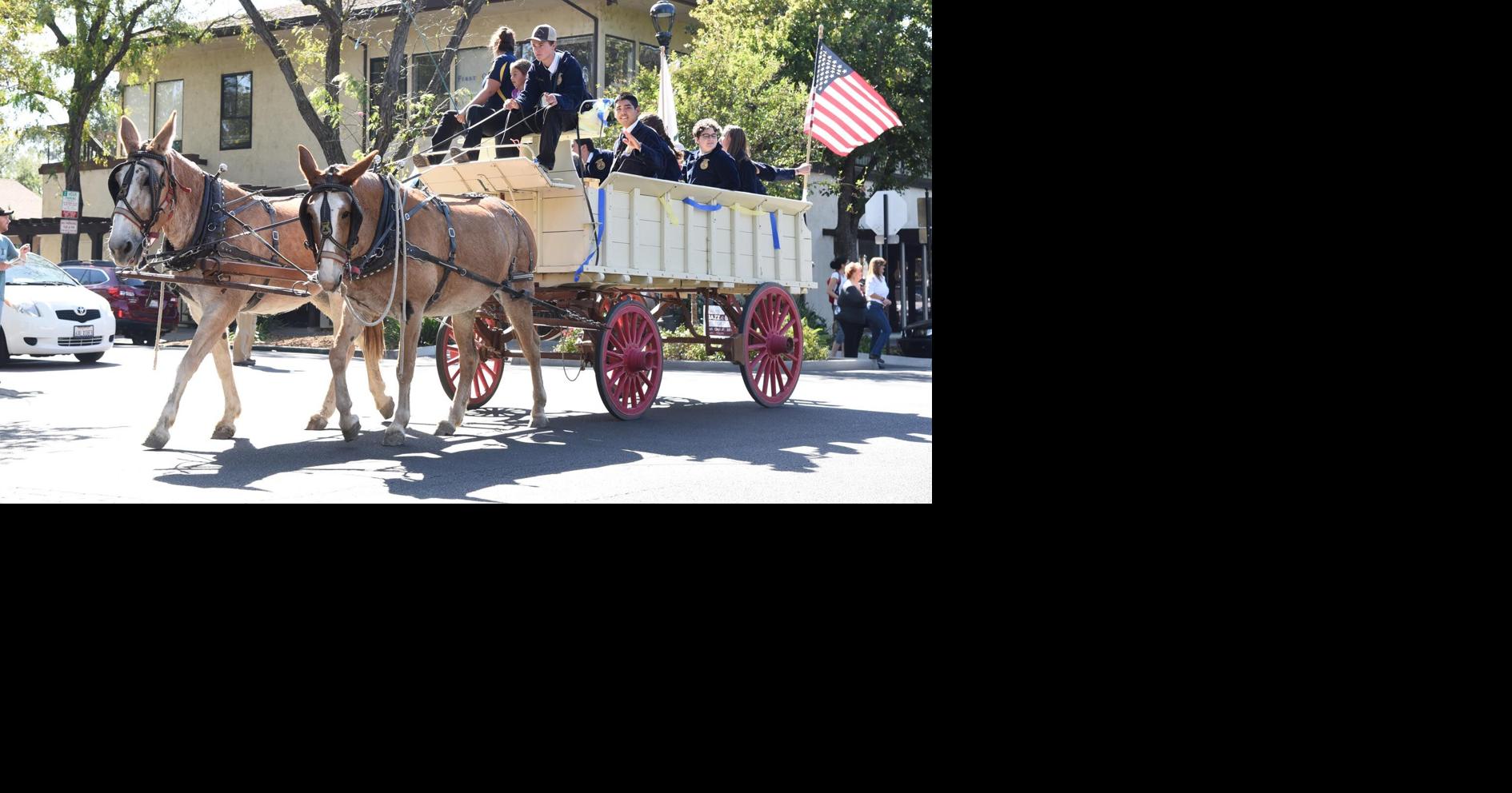 Blue Devils unite! It’s Homecoming Week… | News | davisenterprise.com