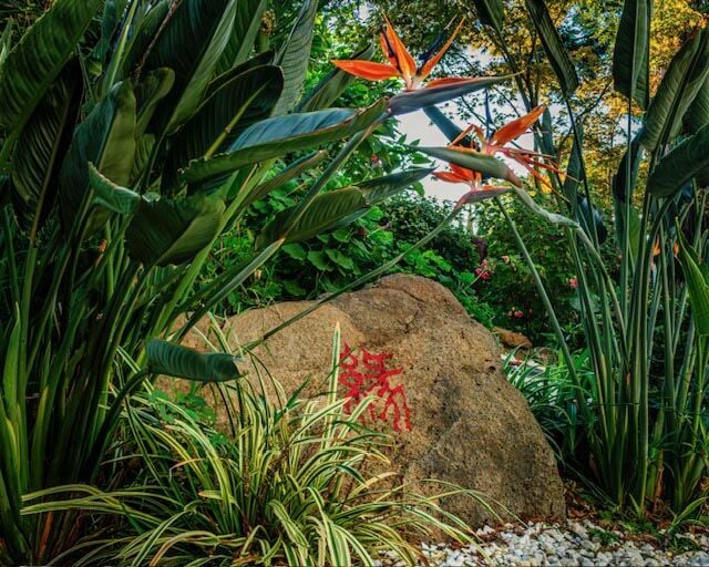 Mother’s Day Tea benefits Rotary | News | davisenterprise.com