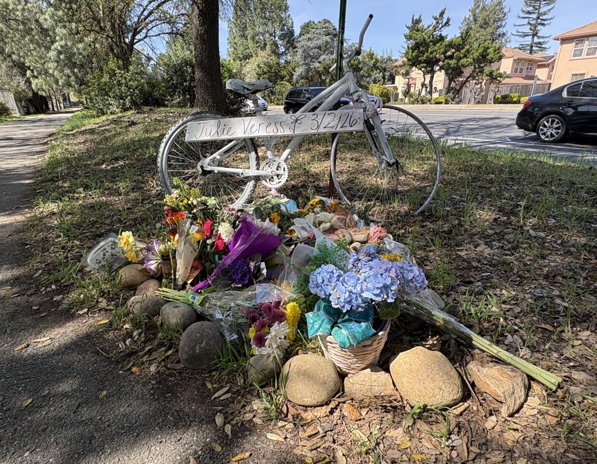Davis police complete fatal bike-crash investigation | News ...